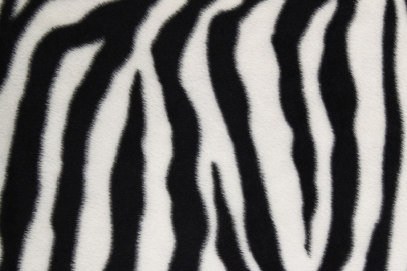 PT-007 – HIGH P.P.C.